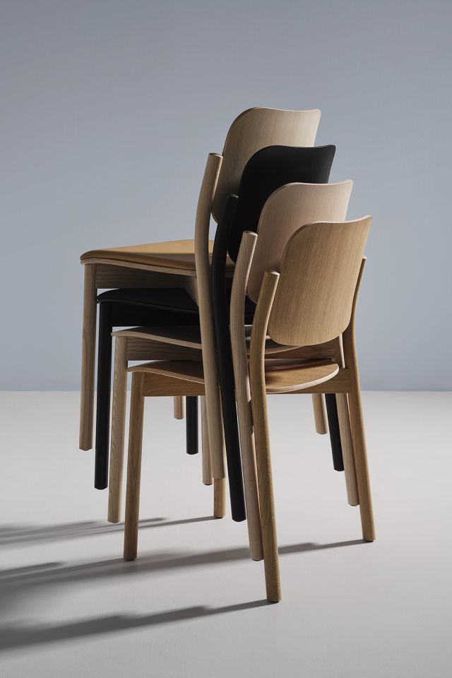 ZOE – Chair in ash or oak with a Scandinavian design – EFG